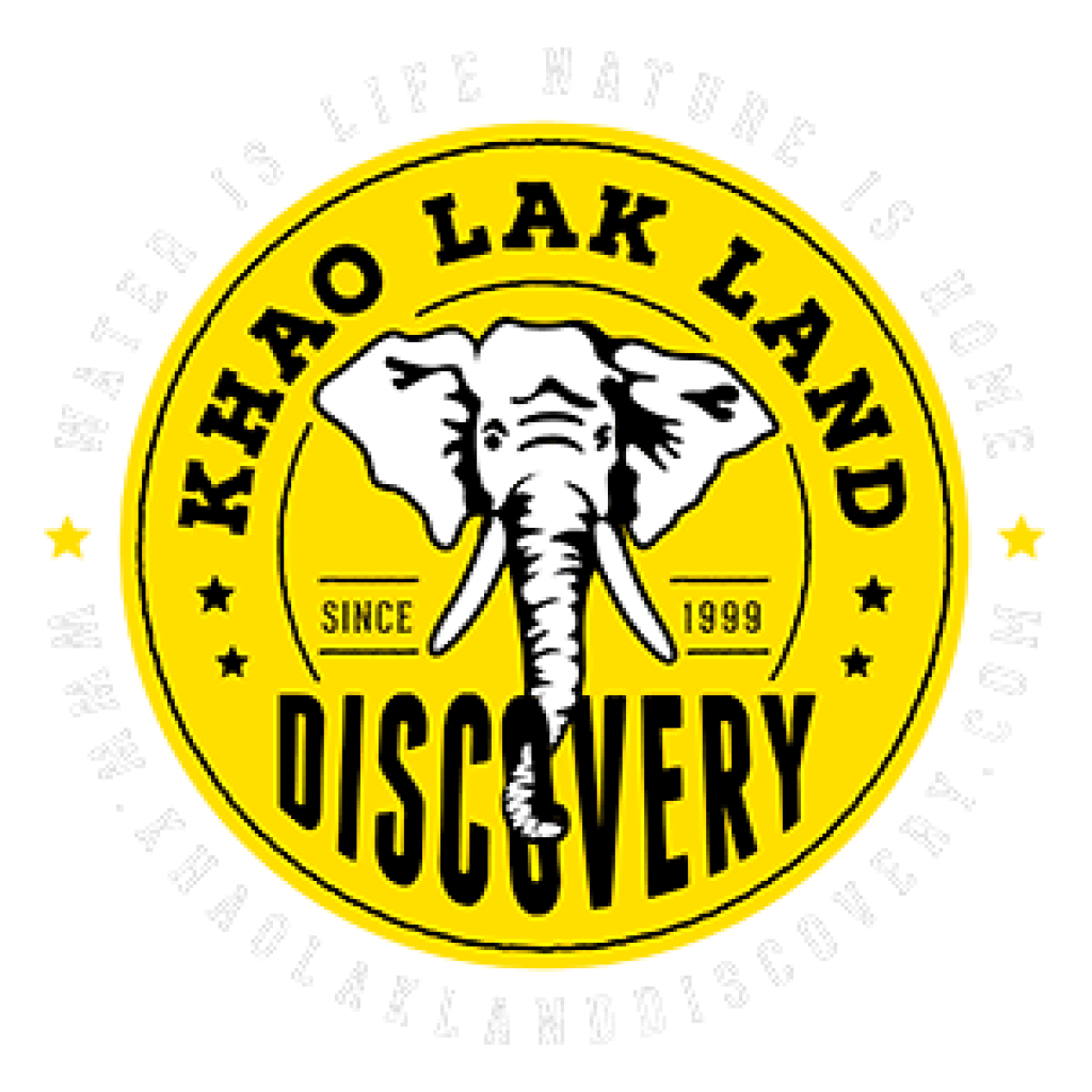 Cheow Lan Lake Adventure | Stay In Khao Sok Floating Bungalows