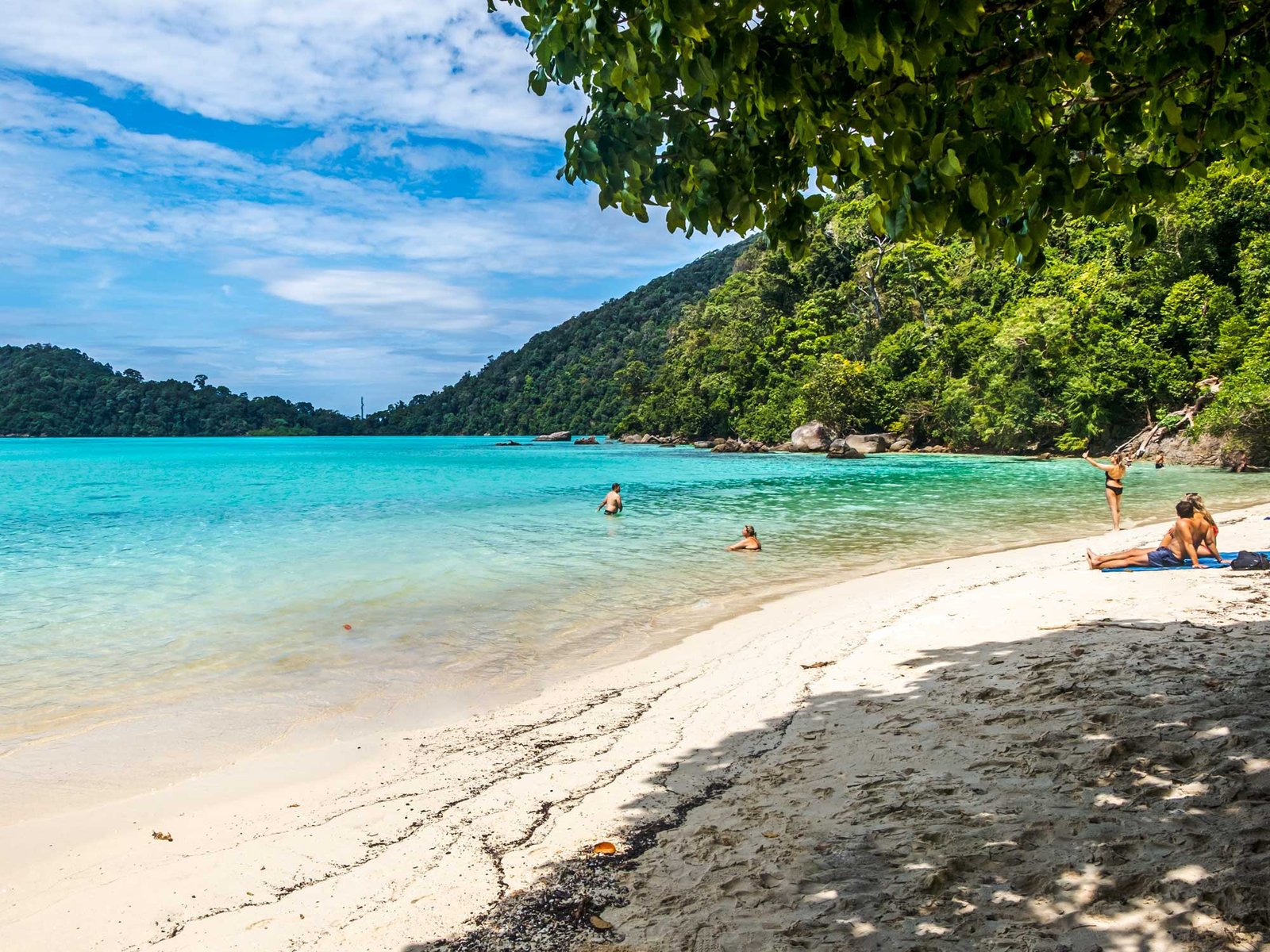 Surin Islands Snorkeling Day Trip - Spectacular Marine Life - Khao Lak ...