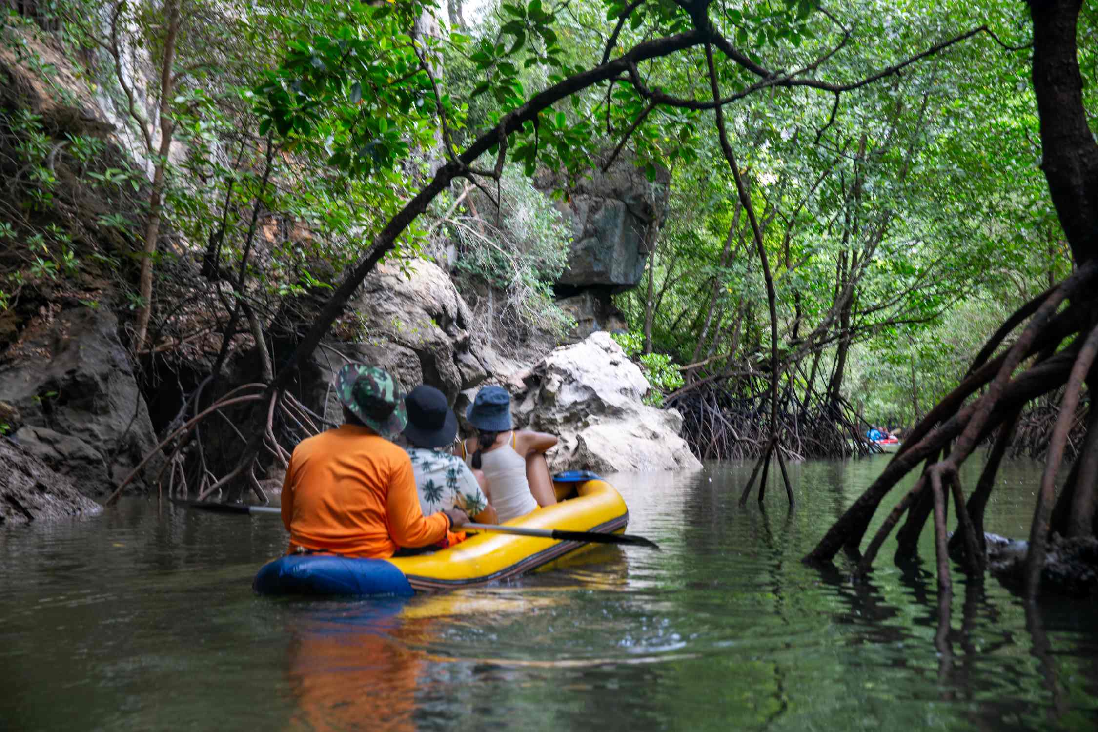 Canoeing Through Mangrove In Phang Nga Bay - Khao Lak Land Discovery